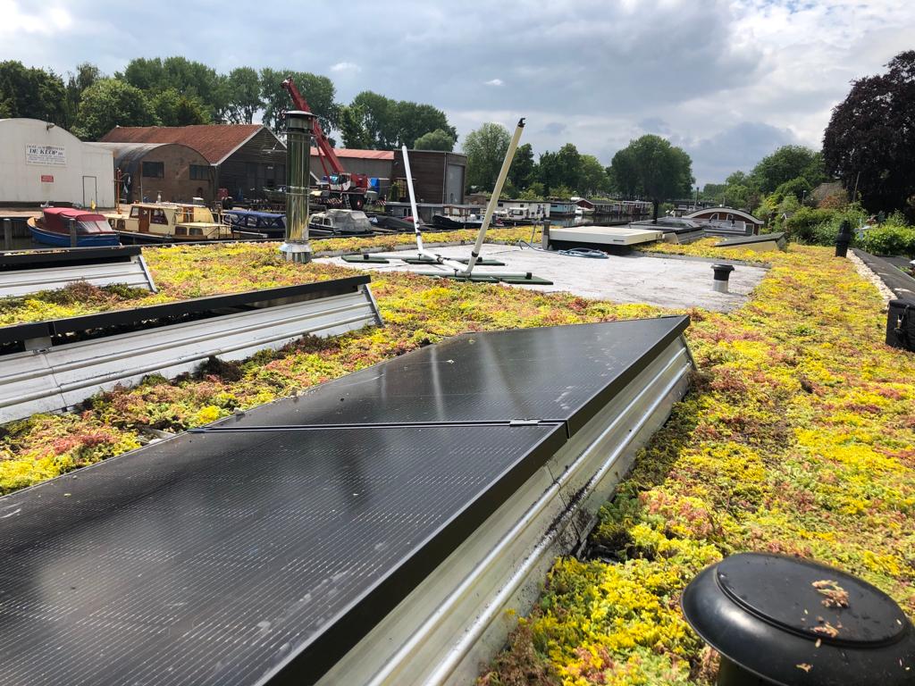 Woonboot Utrecht – Rotsplantenshop